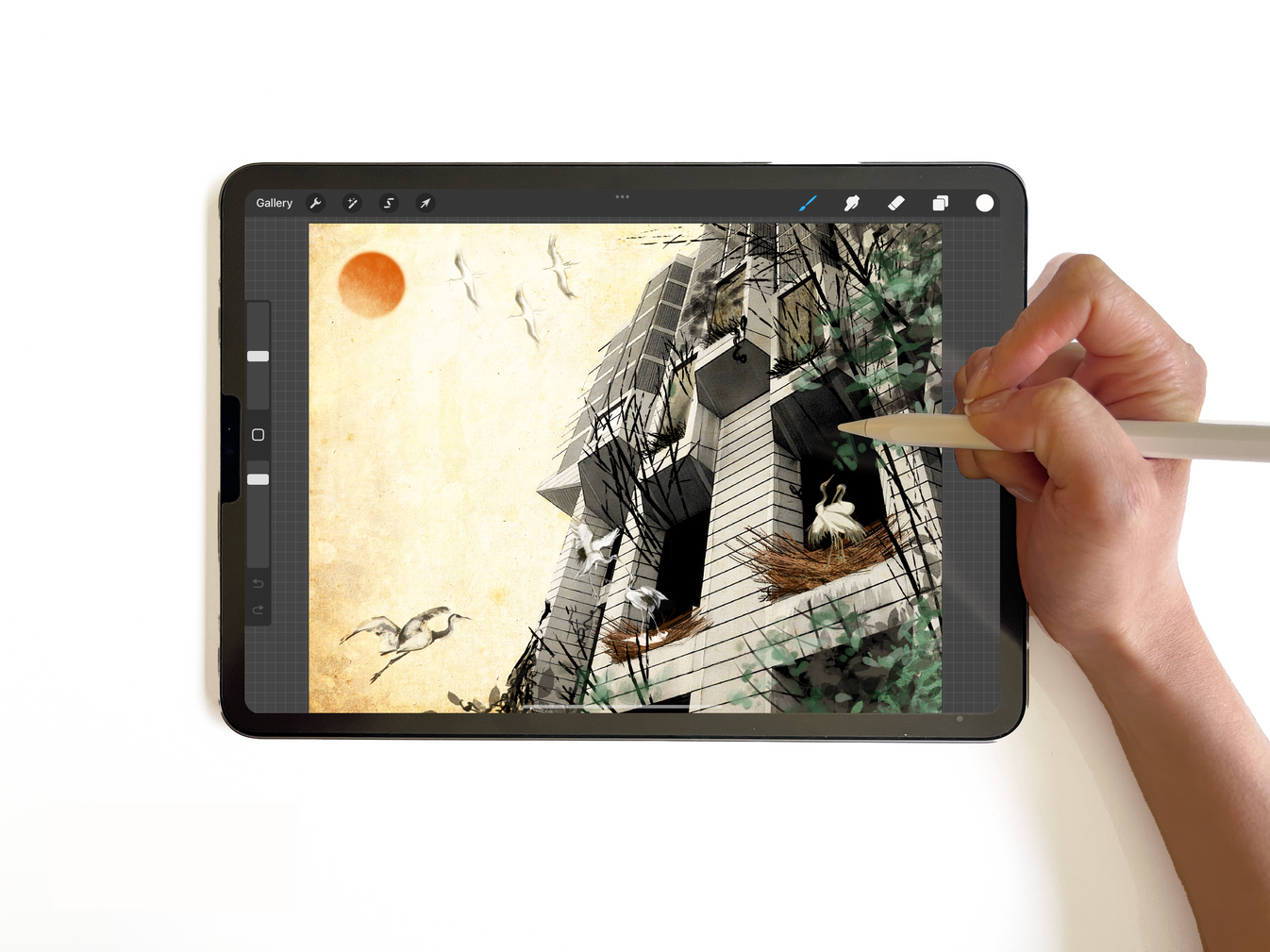 Sumi-e Ink - Procreate Brush Set – Dami Lee